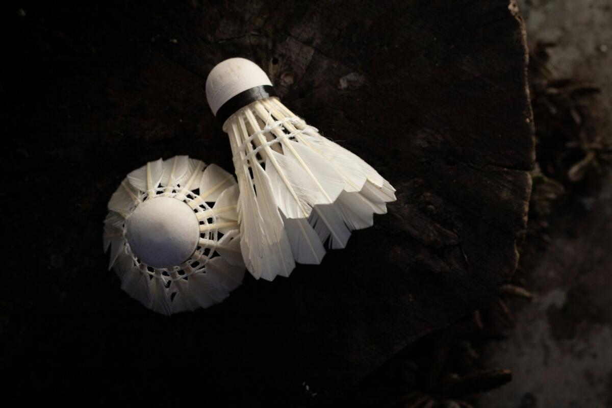 Essential Badminton Equipment You Need to Start Playing