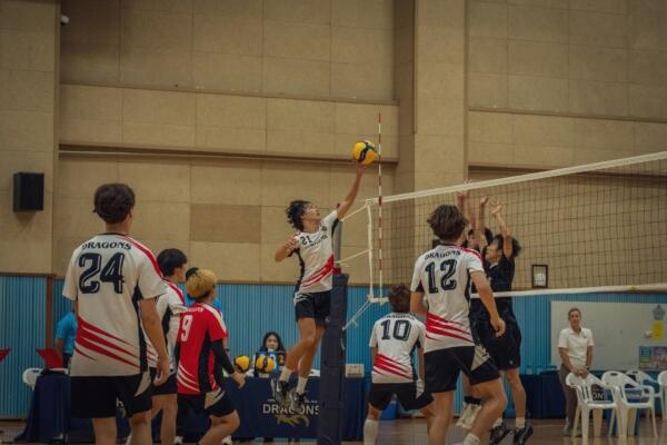 Understanding the Six Volleyball Positions on the Court