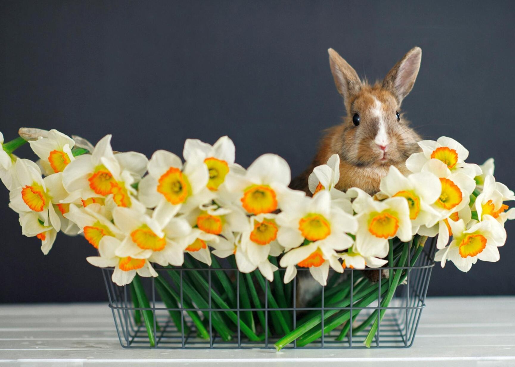 When is Easter 2026 and Why Does it Change Year by Year?