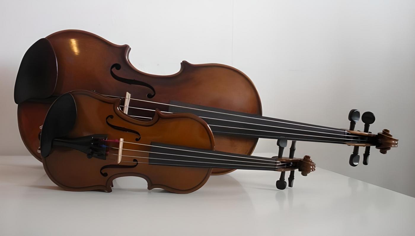 Harga Biola Untuk Pemula Dan Hal-Hal Yang Wajib Diperhatikan