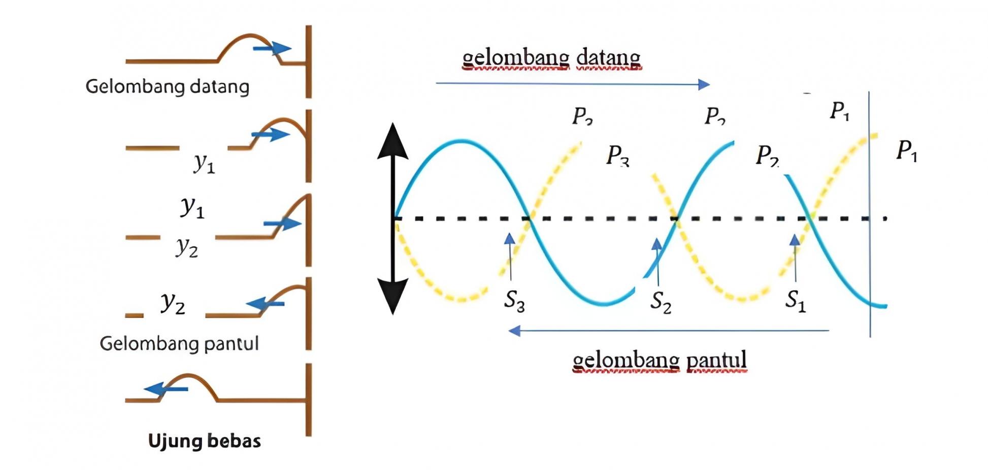 Gelombang Stasioner: Pengertian, Jenis, Dan Contohnya