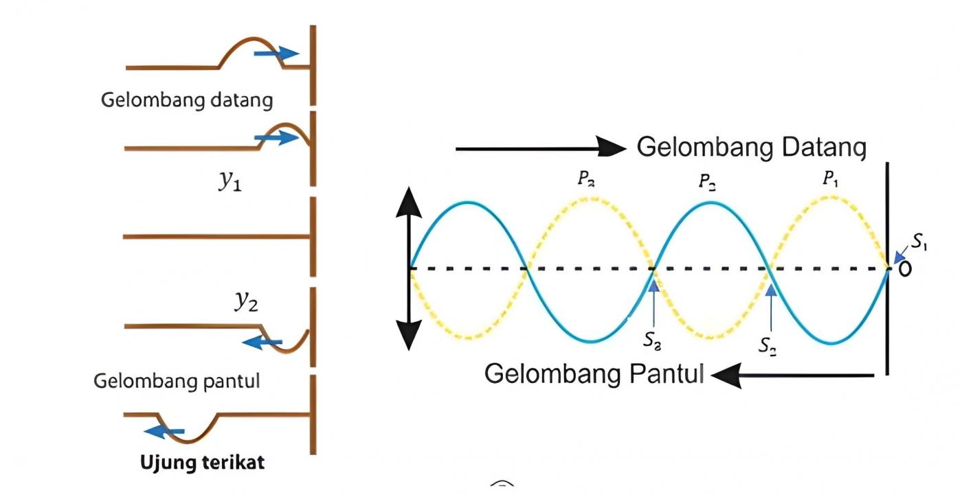 Gelombang Stasioner: Pengertian, Jenis, Dan Contohnya