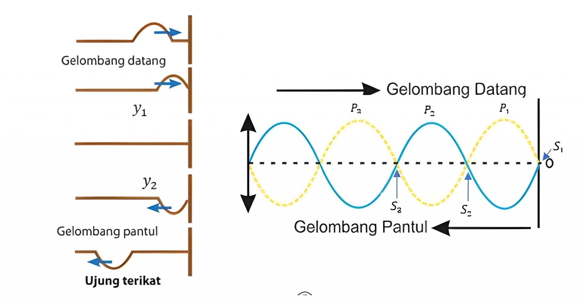 Gelombang Stasioner: Pengertian, Jenis, Dan Contohnya