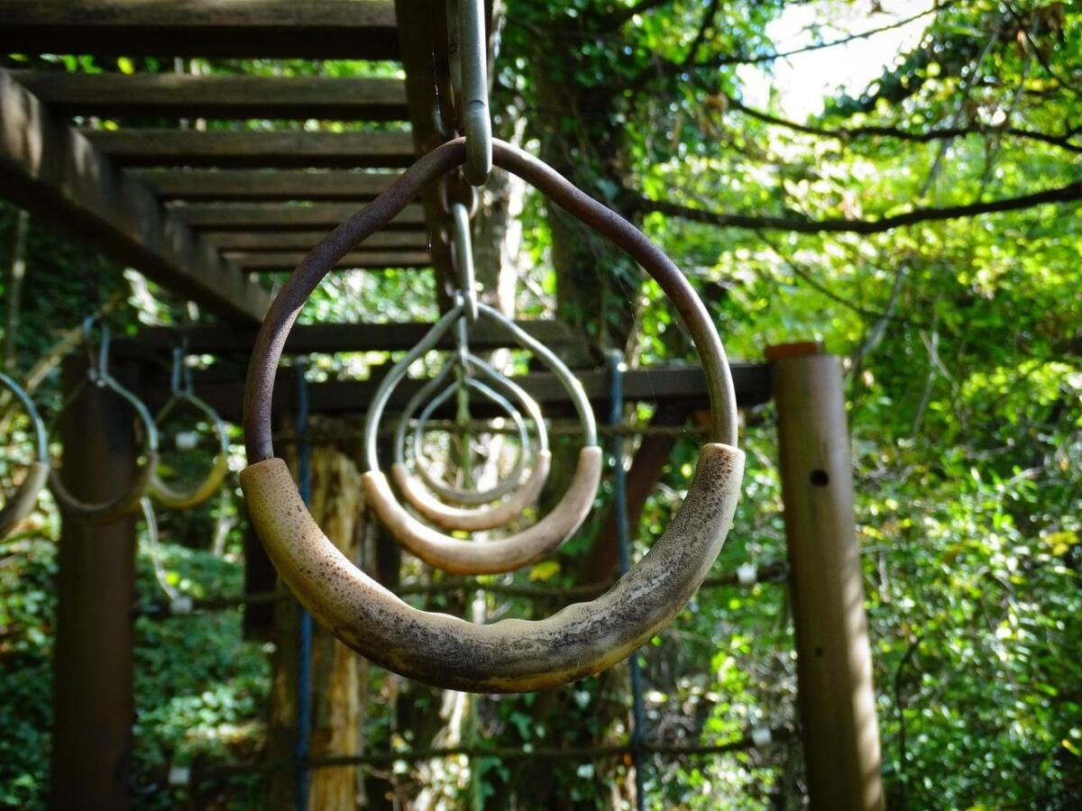 Dead Hang: Panduan Lengkap untuk Pemula dan Manfaatnya