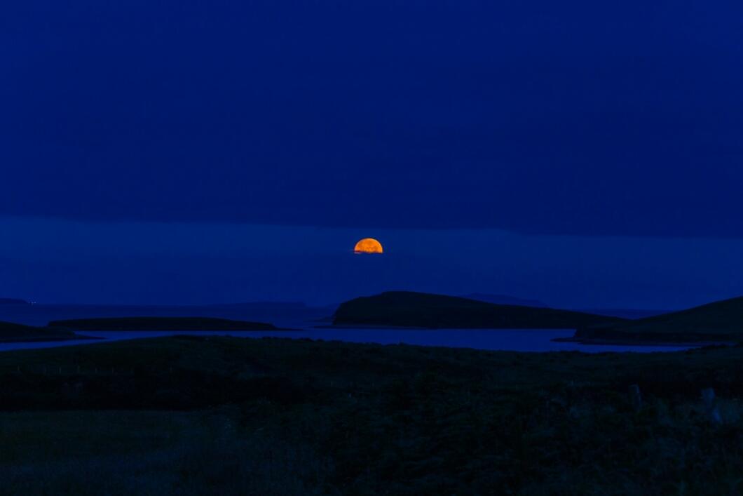 Irish Calendar: Days of the Week in Irish