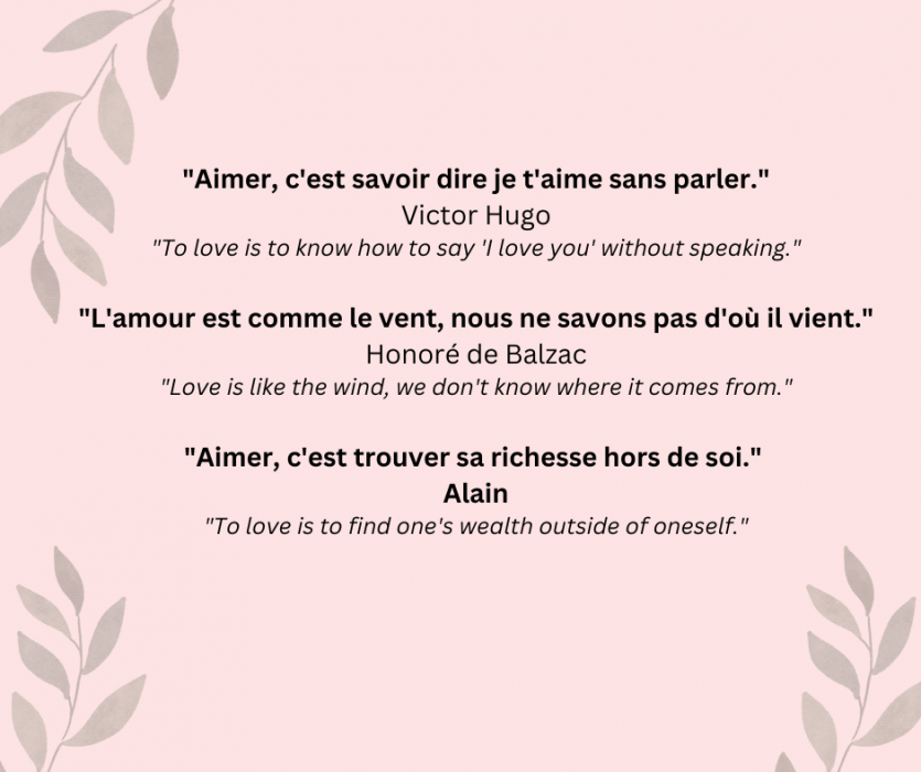 Motivational Quotes in French With English Translation