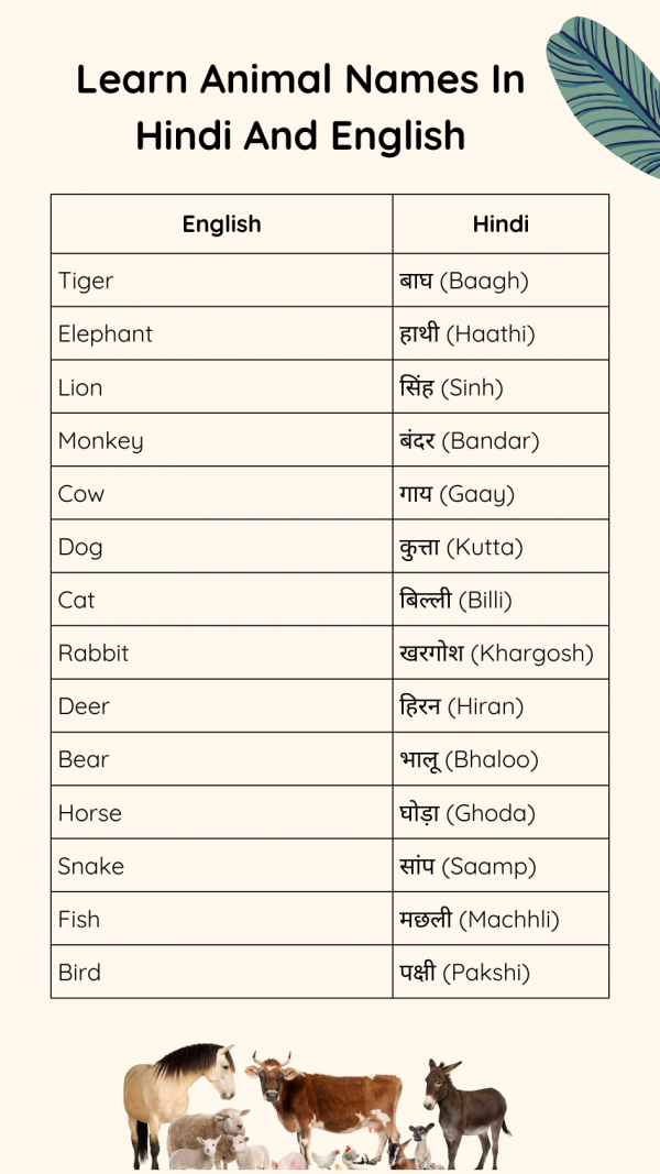 Animals Name In Hindi And English