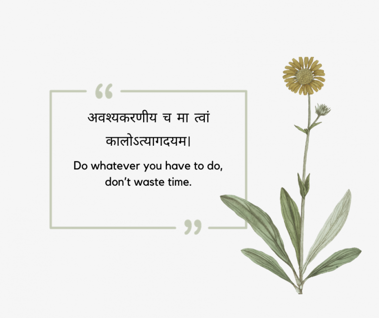 Sanskrit Quotes With English & Hindi Translation [2026]