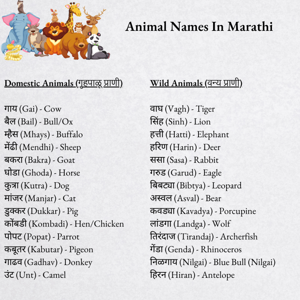 Animal Names in Marathi (With English Translations)