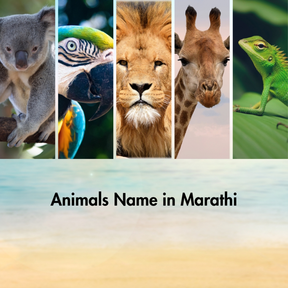 List Of Animal Names in Marathi | Superprof
