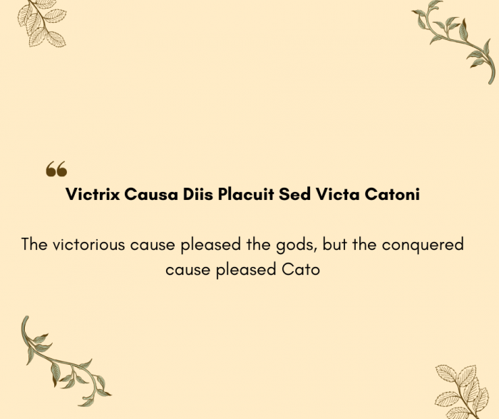 Best Latin Quotes with English Translation