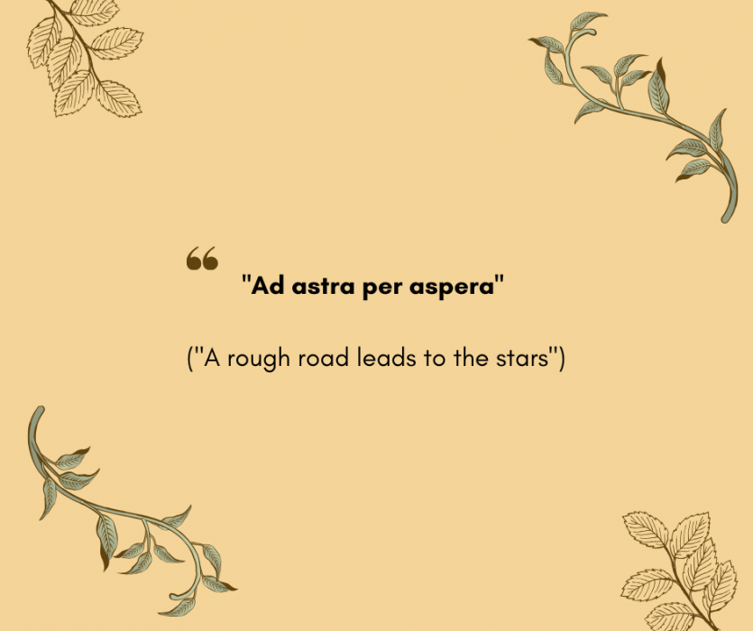Best Latin Quotes with English Translation