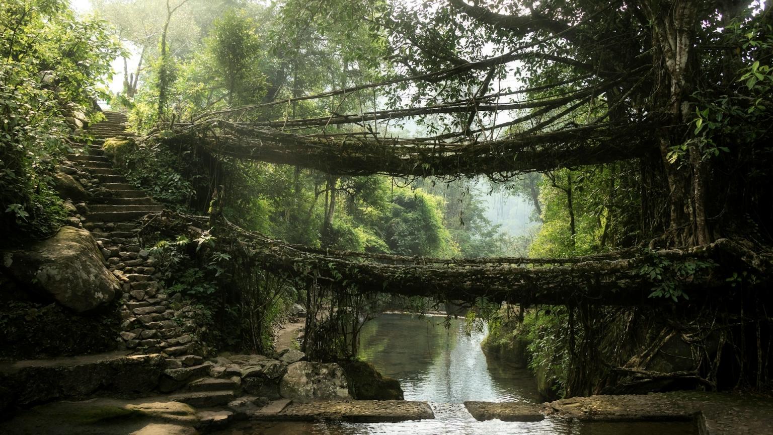 Things To Do & Places To Visit in Cherrapunji (2024)