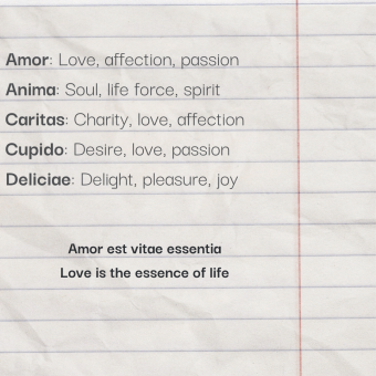 Latin Phrases About Love [2025]