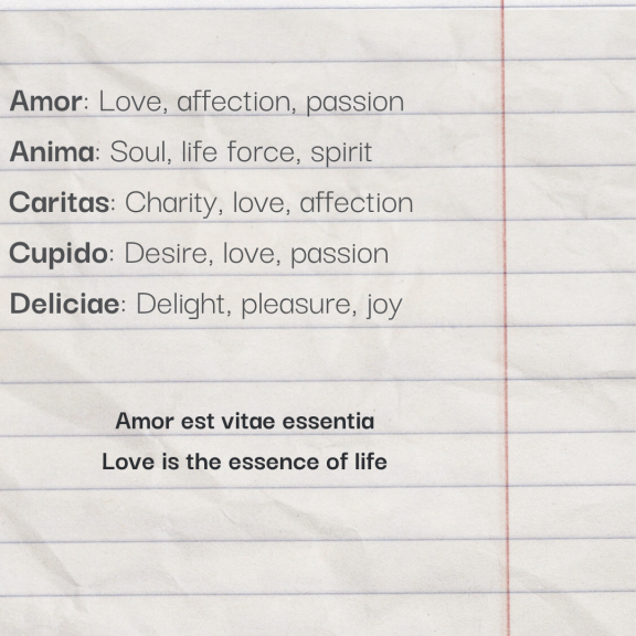 Latin Phrases About Love [2025]