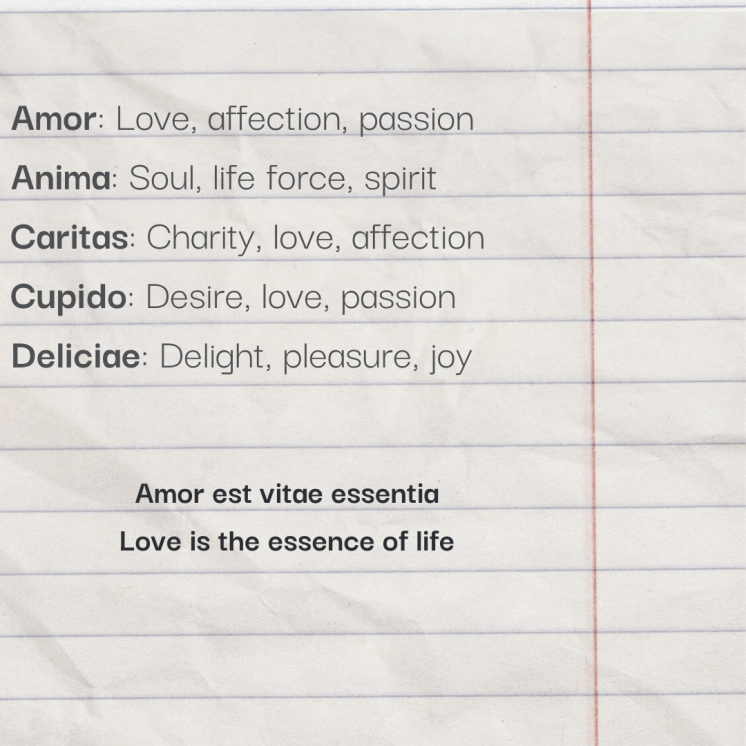 Latin Phrases About Love [2025]