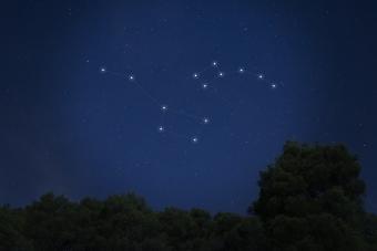 Most Recognized And Famous Constellations in the Sky