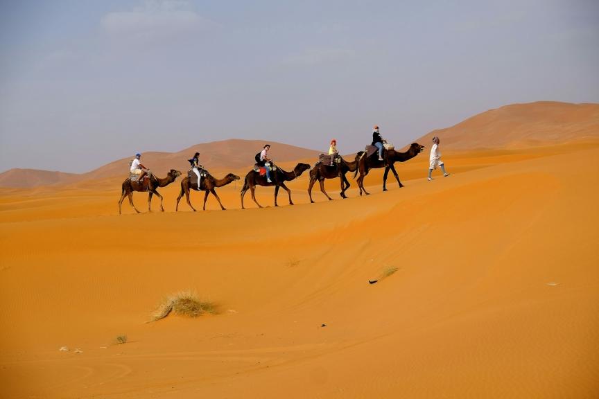 Imparare i numeri arabi: la guida completa
