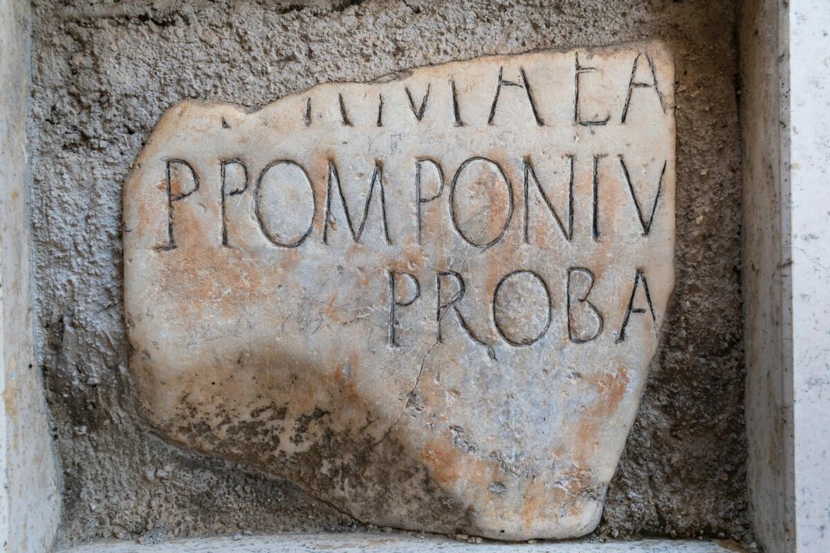 Cosa sono i latinismi: definizione ed esempi pratici