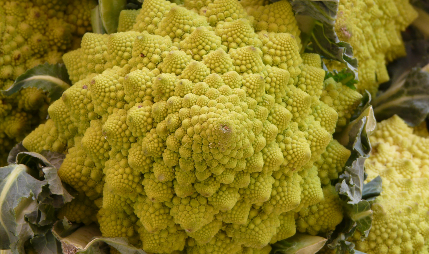 ¿Qué es el número áureo?