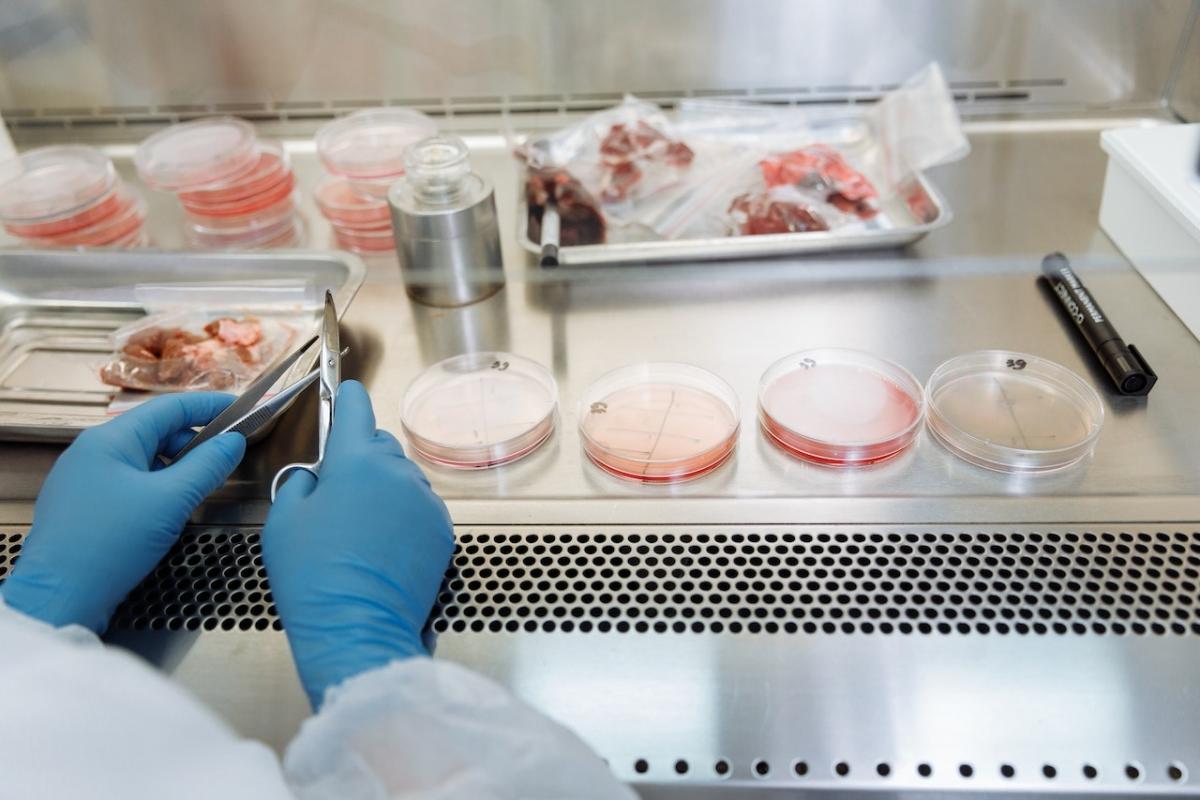 Understanding the SPM Biology Format & Marking Scheme