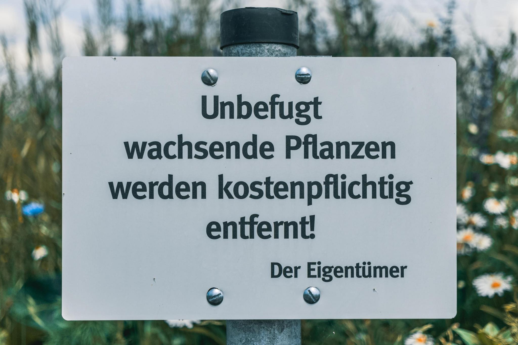Welke Taal Spreken Ze in Oostenrijk: Duits en Regionale Varianten