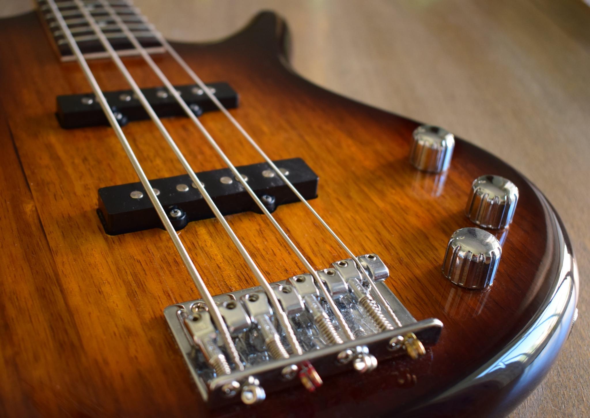 Basgitaar Leren Spelen: Een Eenvoudige Gids voor Beginners