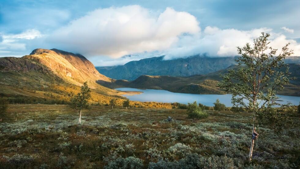 De høyeste fjell i Norge: Topp 10 imponerende topper