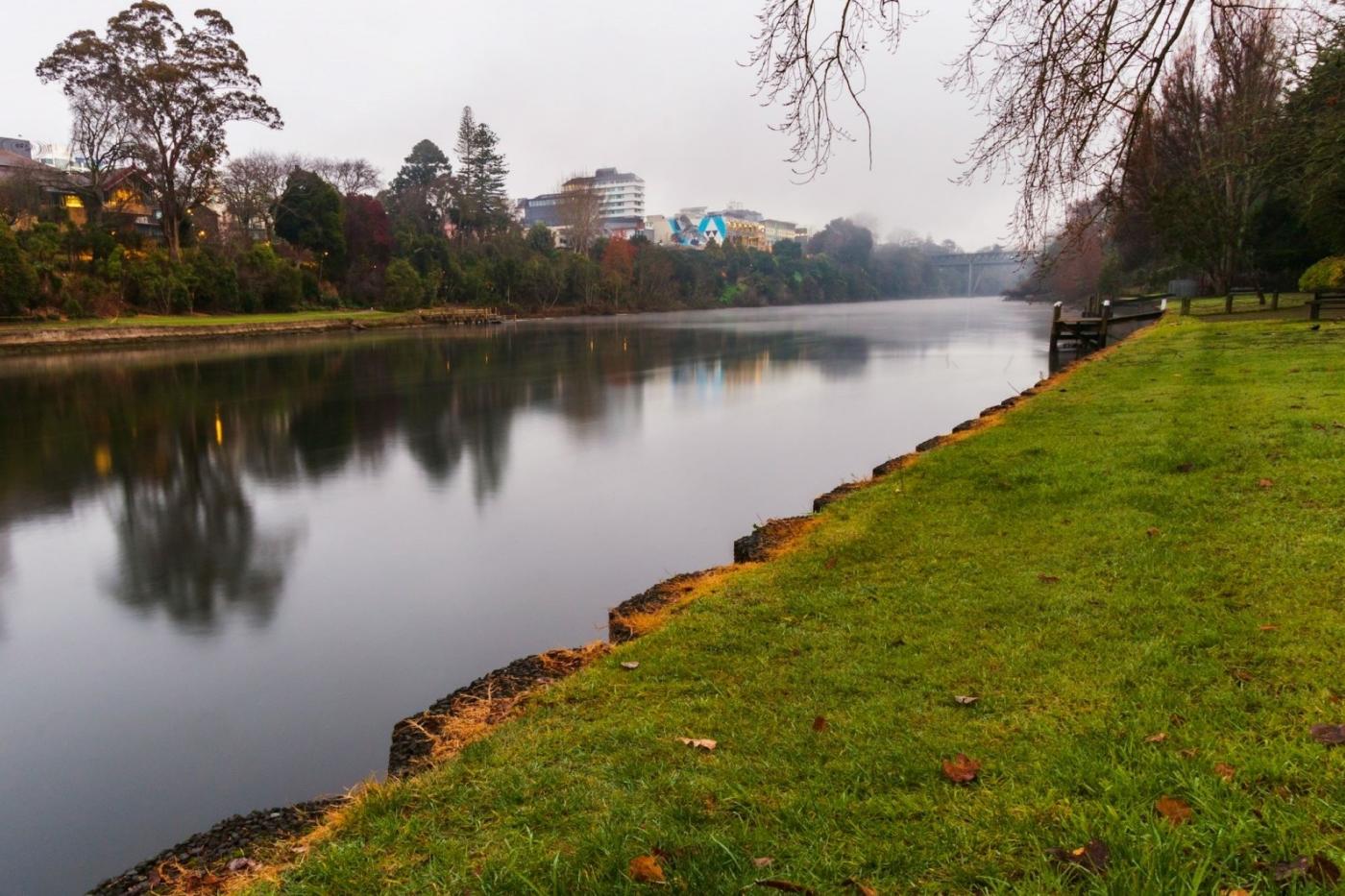 The Best Schools in Hamilton