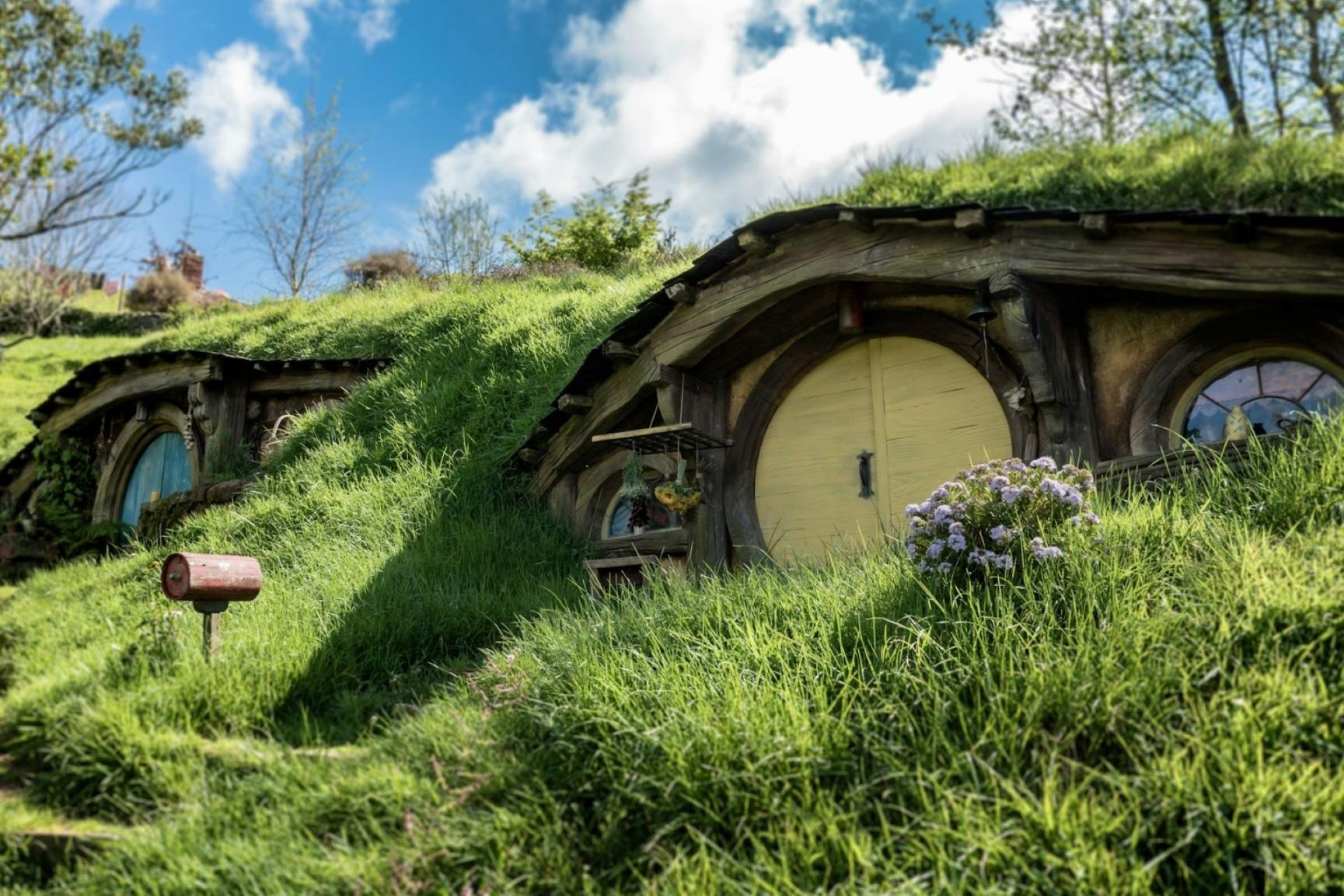 New Zealand Actors Who Became Global Film and Television Stars