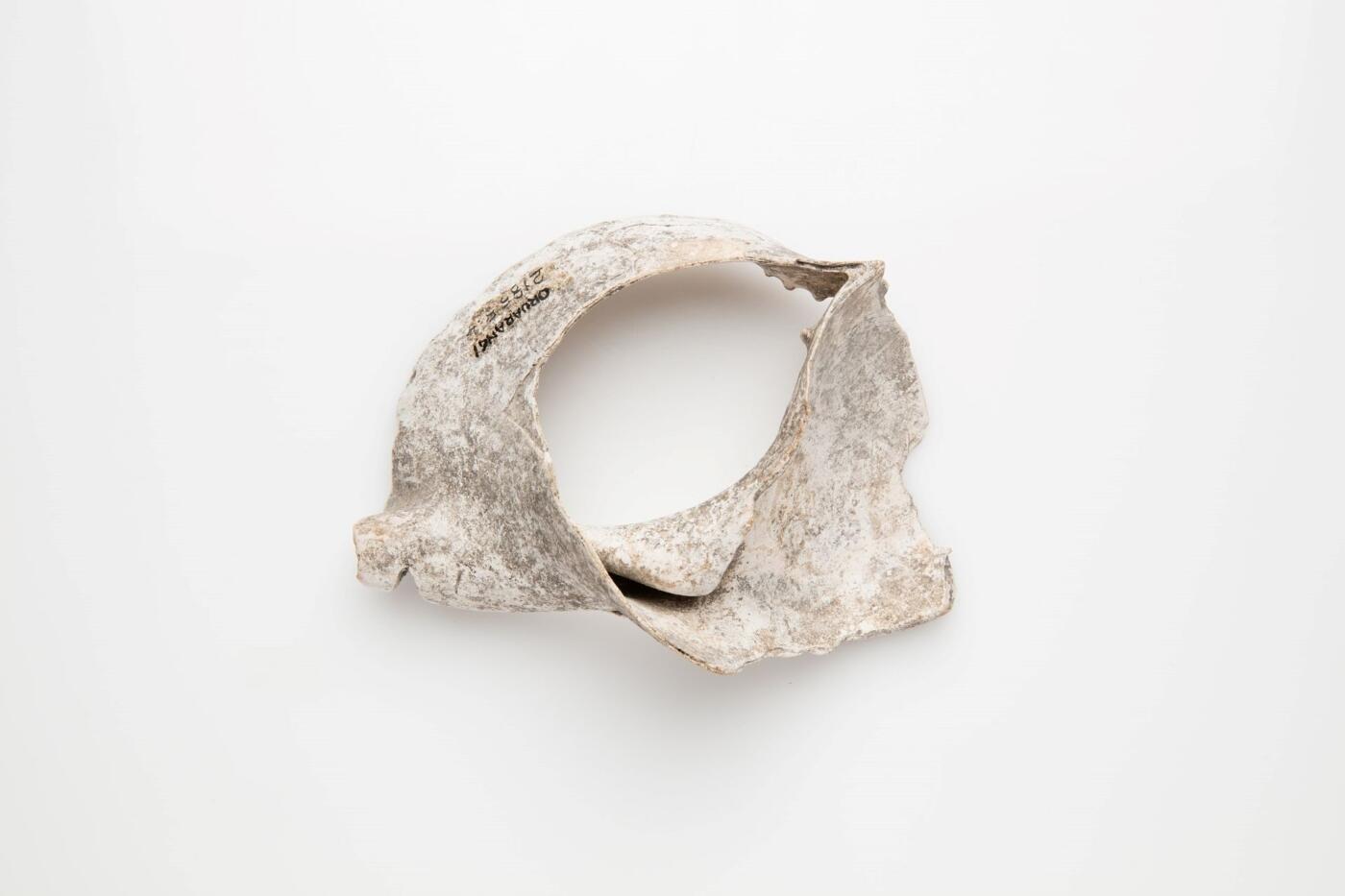 Traditional Māori Instruments