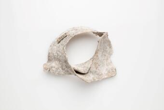 Traditional Māori Instruments