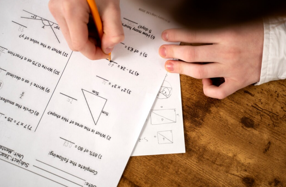 ¿Cuáles Son los Matemáticos Más Célebres?