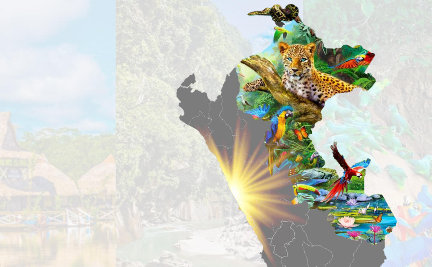 Características de la selva peruana