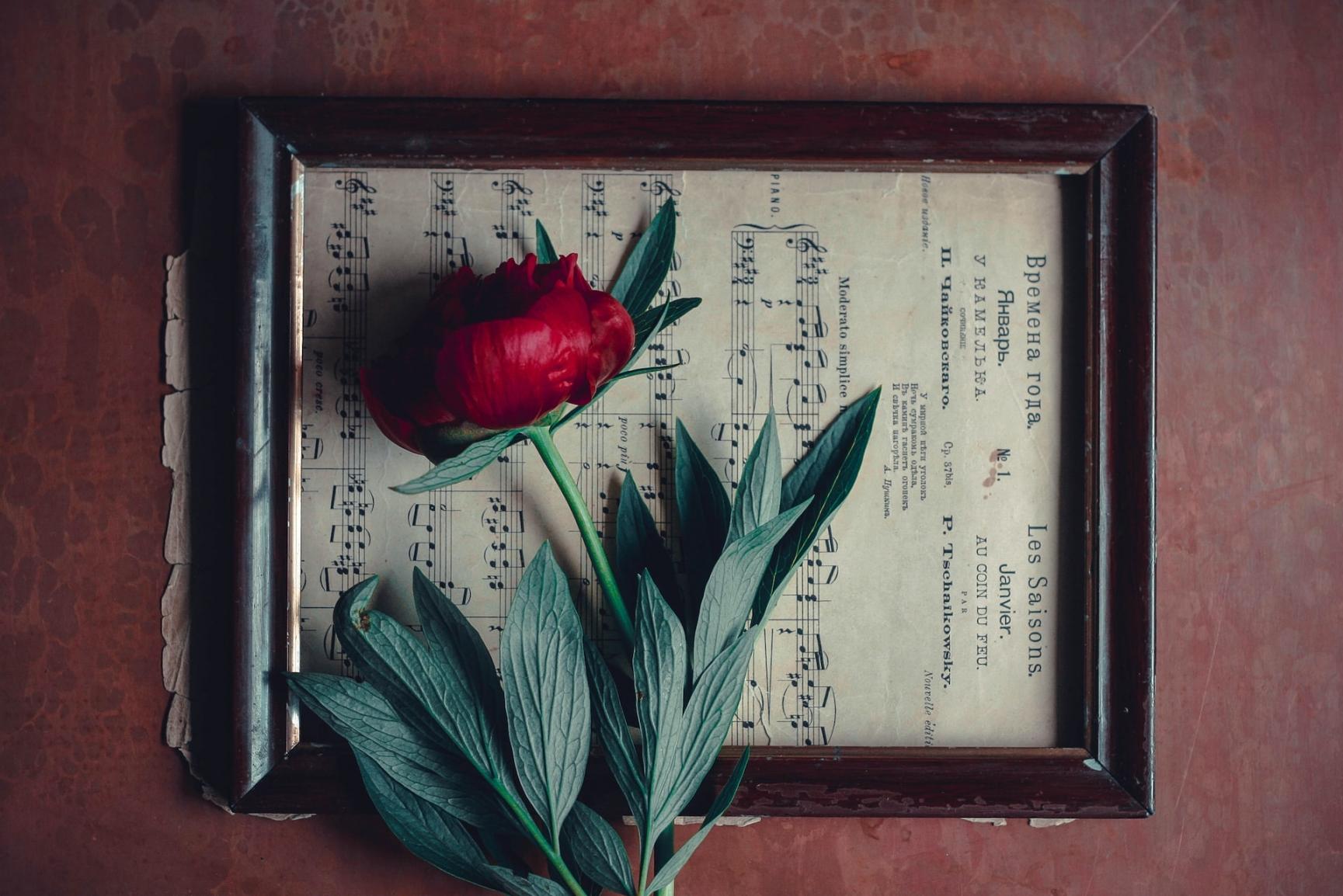 Co to jest ballada i jej cechy