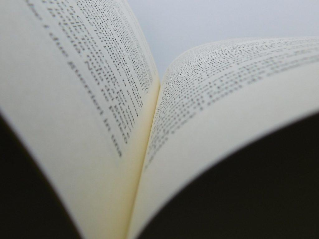 Les Châtiments de Victor Hugo