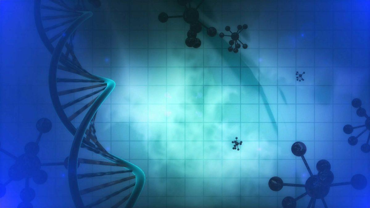 La Composition d'un Médicament