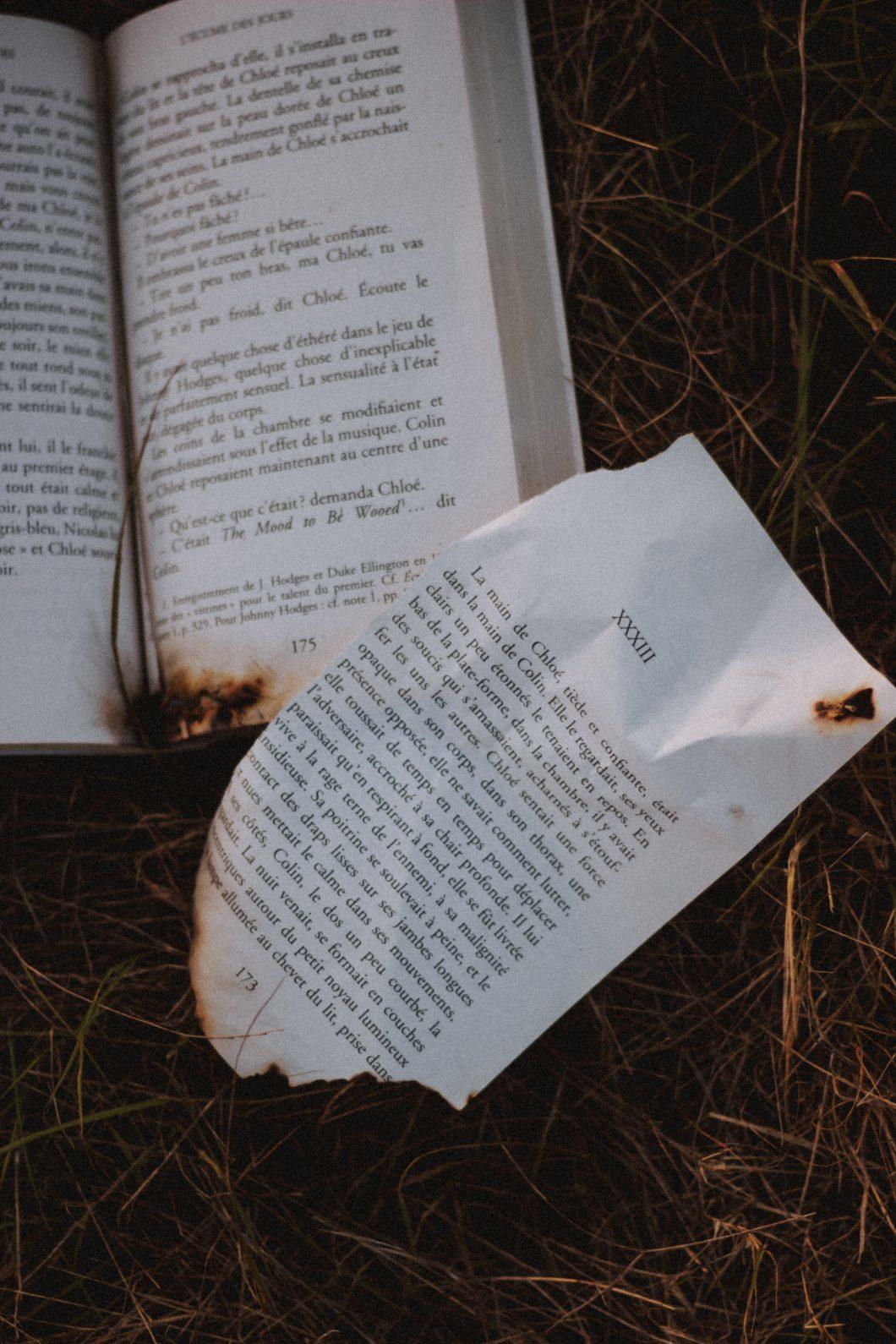 Les Différents Types de Narrateur