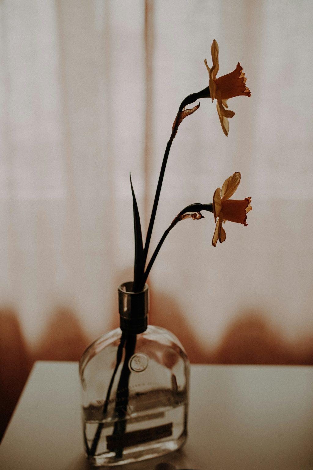 Le Rythme en Poésie