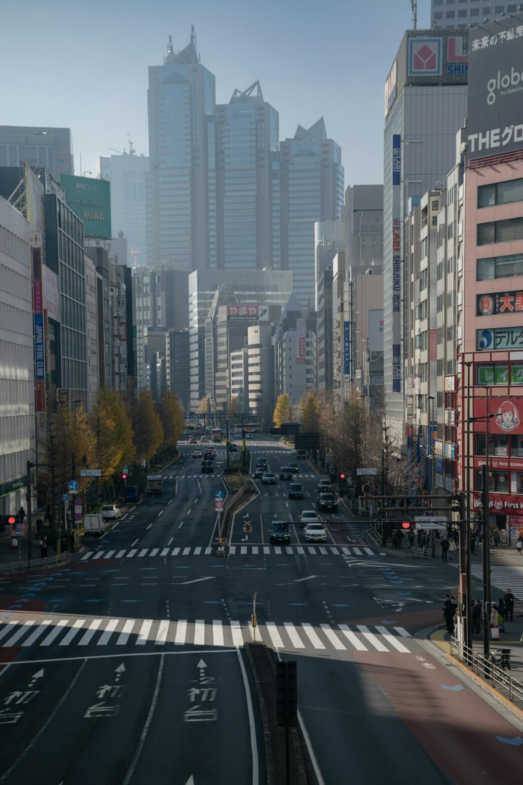 Mégalopole japonaise : définition, organisation et enjeux