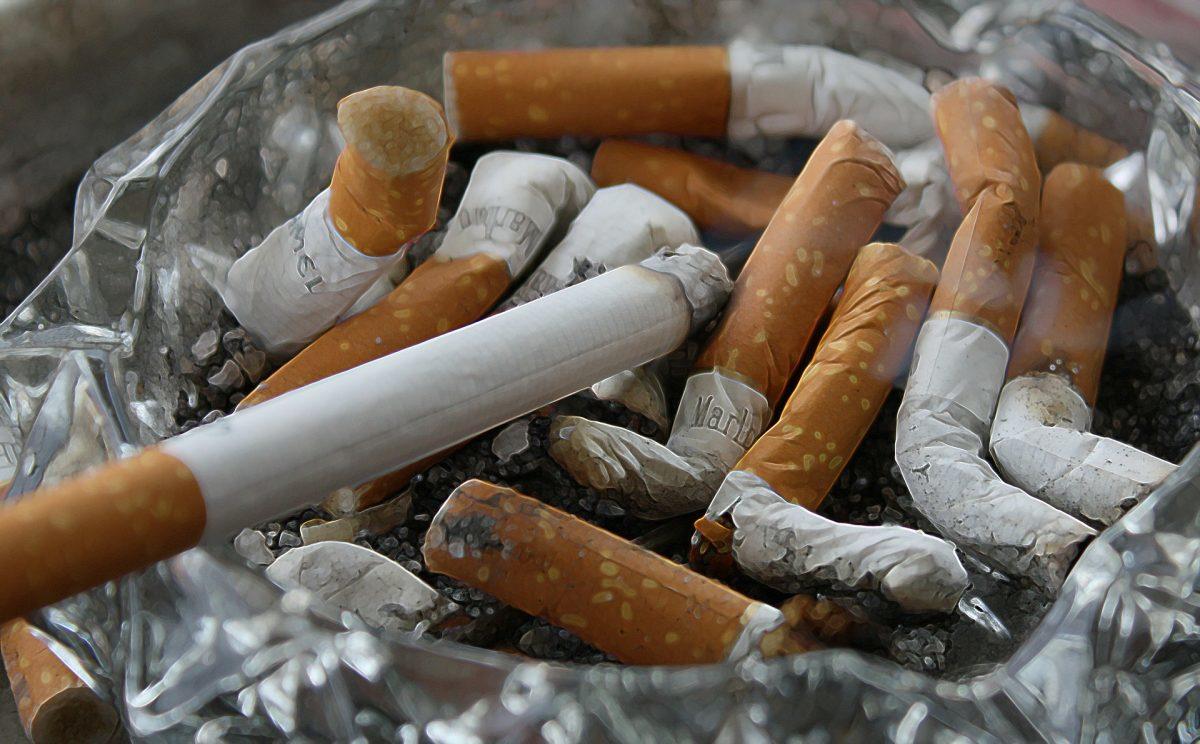 Le Système Respiratoire