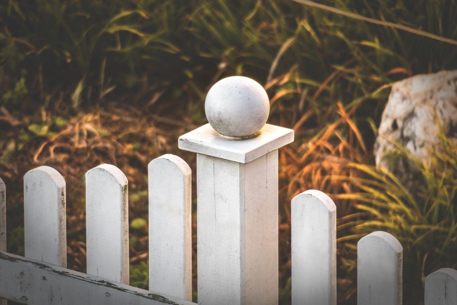 La Fonction Exponentielle