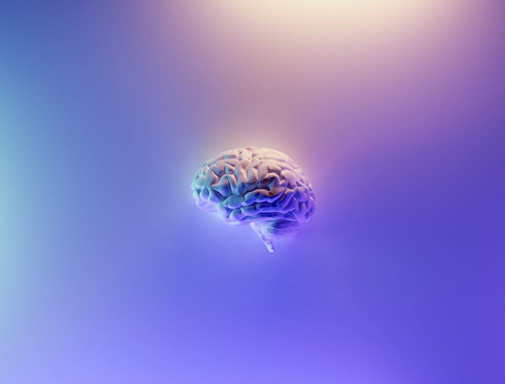 Les Différentes Synapses