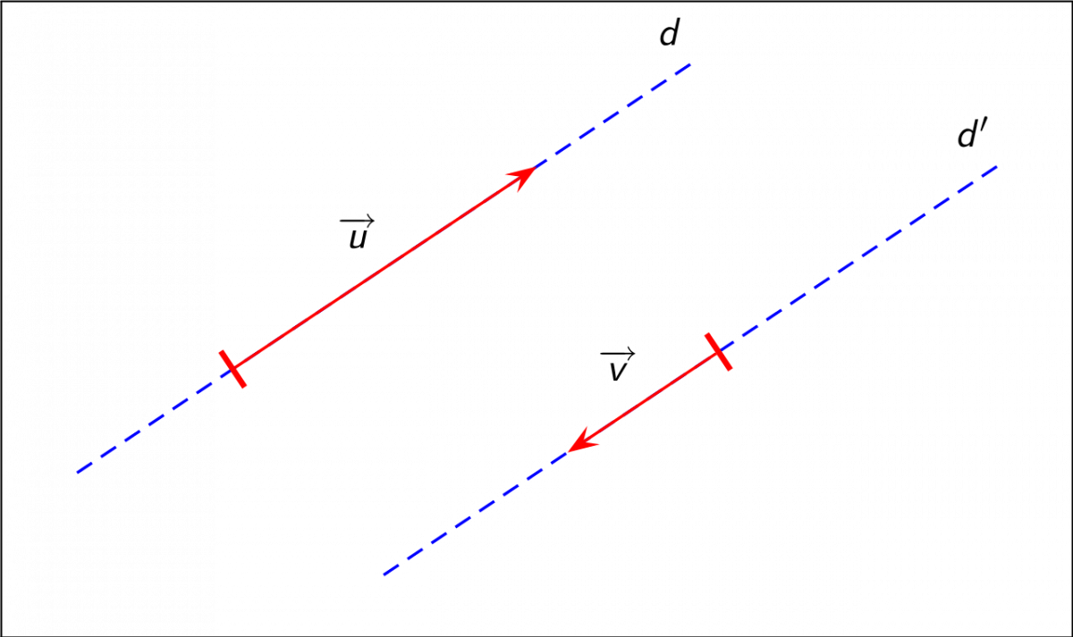 Vecteurs et parallélogramme