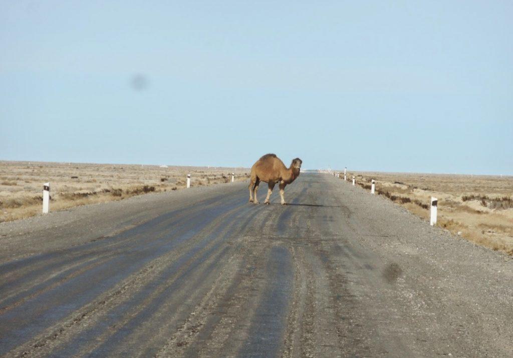 Les lois de la réfraction et la lumière