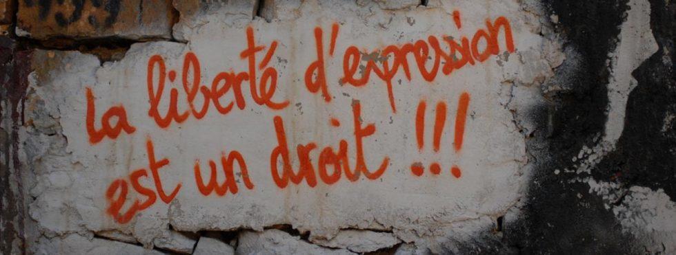 La Liberté d'Opinion et la Liberté d'Expression