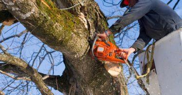 Propriété : Absolutisme, Exclusivisme et Perpétuité