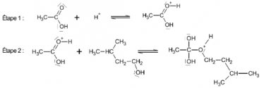 Exercices de Chimie : les Alcools