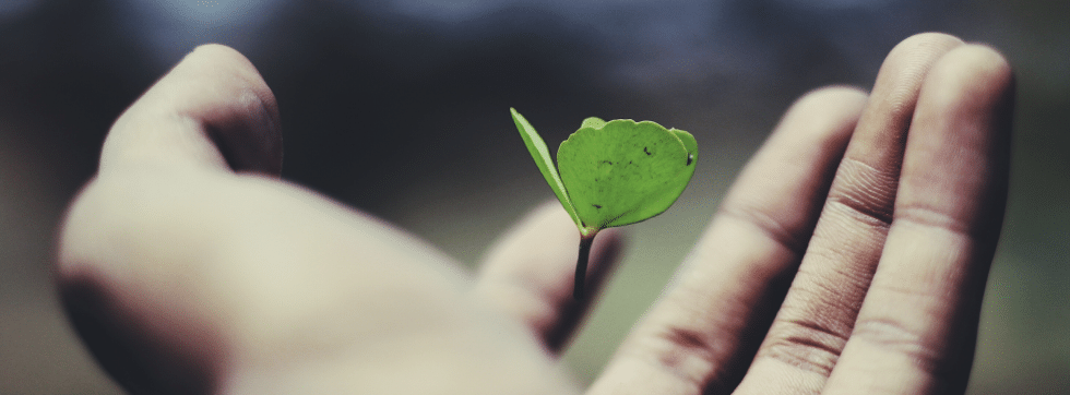Propriété : Absolutisme, Exclusivisme et Perpétuité