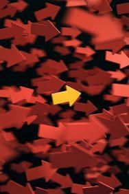 La Nature des Trajectoires du Mouvement en Physique